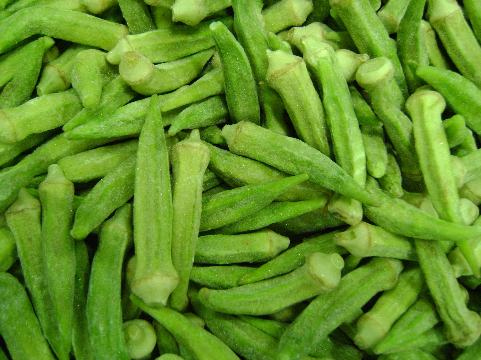 TROPICOOL FOODS-Green Okra Manufacturers India